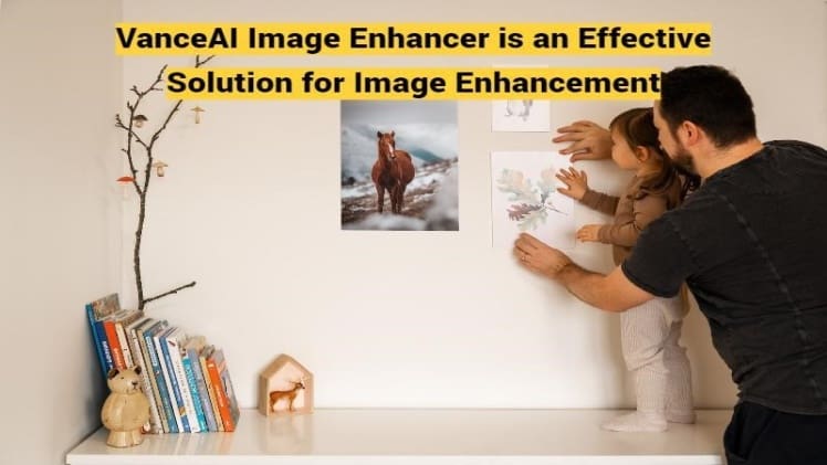 VanceAI Image Enhancer Is an Effective Solution for Image Enhancement ...